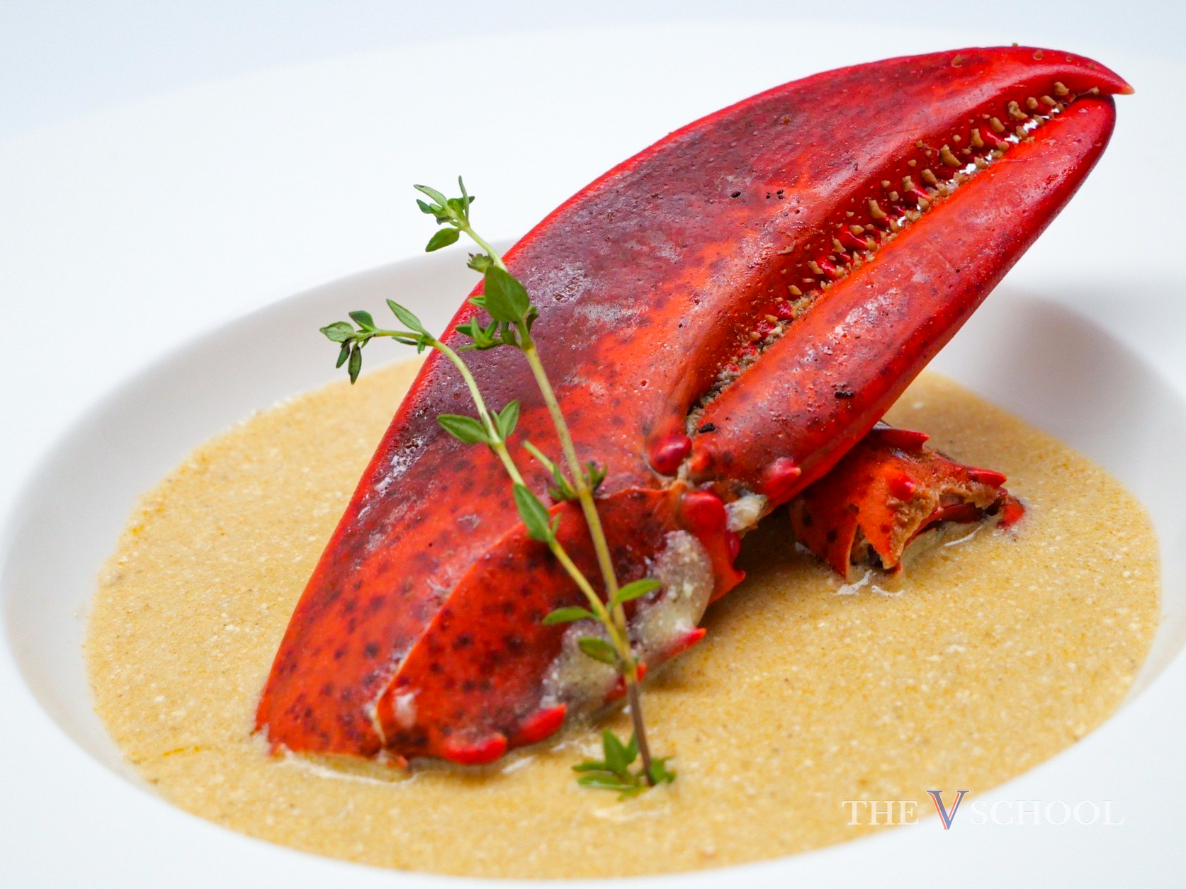 Canadian Lobster (EN)